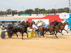 News Article - Australian Harness Racing