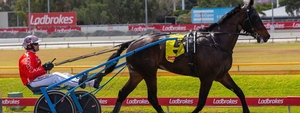 News Article - Australian Harness Racing