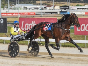 News Article - Australian Harness Racing