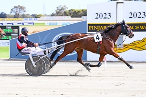 News Article - Australian Harness Racing