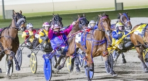 News Article - Australian Harness Racing