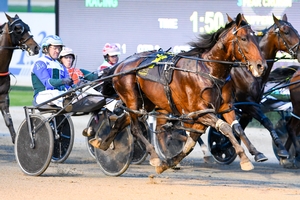 Top Stories - Australian Harness Racing