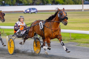 News Article - Australian Harness Racing