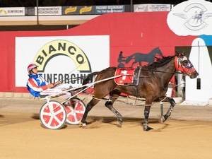 News Article - Australian Harness Racing