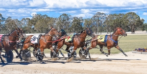 Racing Office - Australian Harness Racing