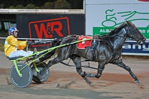 News Article - Australian Harness Racing