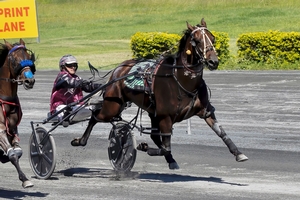 News Article - Australian Harness Racing