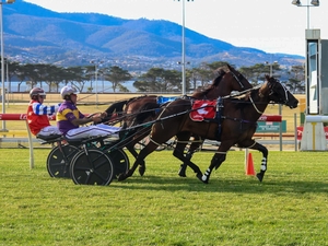 News Article - Australian Harness Racing