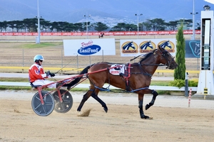 Stewards - Australian Harness Racing