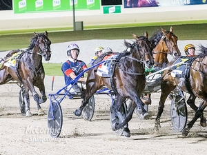 News Article - Australian Harness Racing