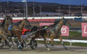News Article - Australian Harness Racing
