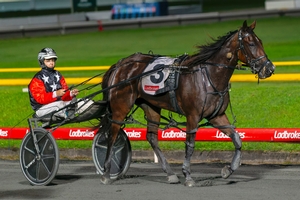 News Article - Australian Harness Racing