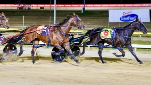 News Article - Australian Harness Racing