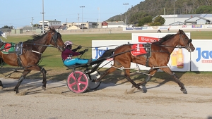 News Article - Australian Harness Racing