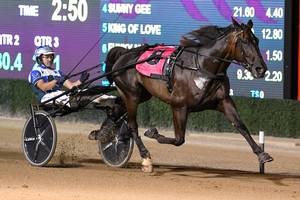 News Article - Australian Harness Racing
