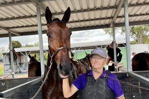 News Article - Australian Harness Racing