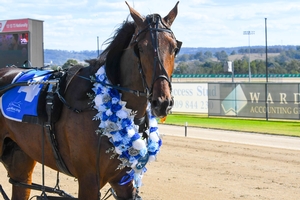 News Article - Australian Harness Racing
