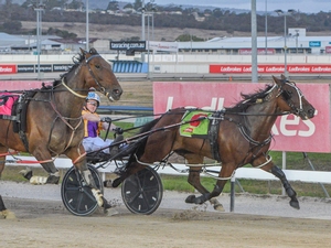 News Article - Australian Harness Racing