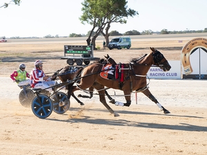 Racing Office - Australian Harness Racing