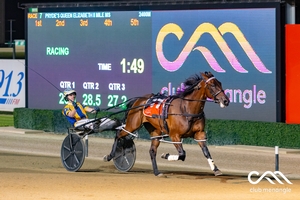 Stewards - Australian Harness Racing