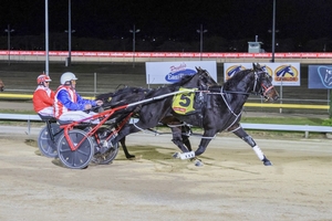 Stewards - Australian Harness Racing