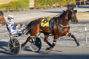 News Article - Australian Harness Racing