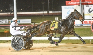 Top Stories - Australian Harness Racing