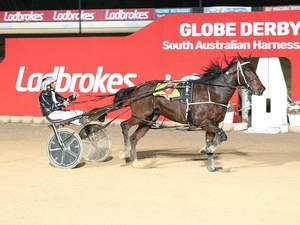 News Article - Australian Harness Racing
