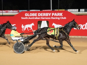 News Article - Australian Harness Racing