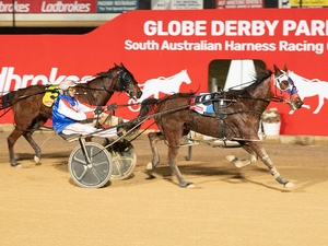 News Article - Australian Harness Racing
