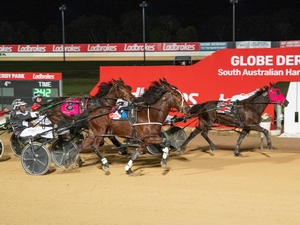 News Article - Australian Harness Racing