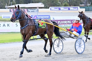 News Article - Australian Harness Racing