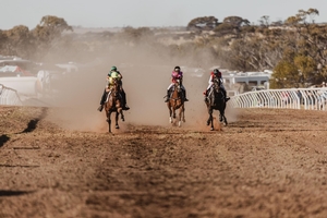 News Article - Australian Harness Racing
