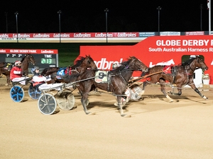 News Article - Australian Harness Racing
