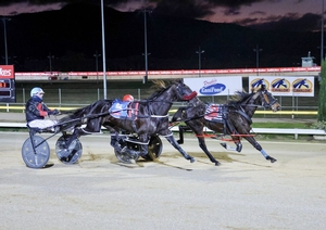 News Article - Australian Harness Racing