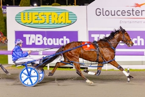News Article - Australian Harness Racing