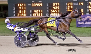 News Article - Australian Harness Racing