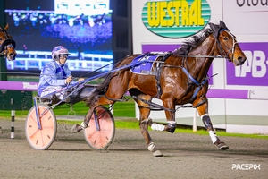 News Article - Australian Harness Racing
