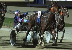 News Article - Australian Harness Racing