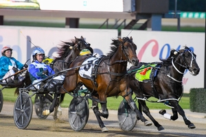 News Article - Australian Harness Racing