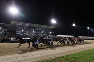 Top Stories - Australian Harness Racing
