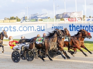 News Article - Australian Harness Racing