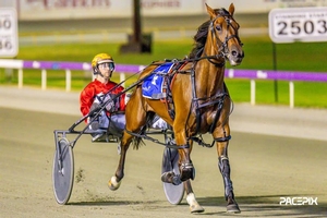 News Article - Australian Harness Racing