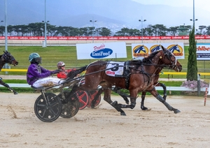 News Article - Australian Harness Racing