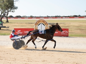 News Article - Australian Harness Racing