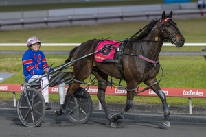 Top Stories - Australian Harness Racing