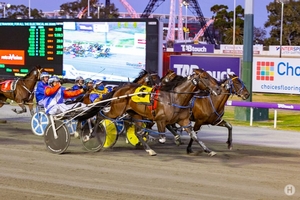 News Article - Australian Harness Racing