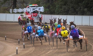 News Article - Australian Harness Racing