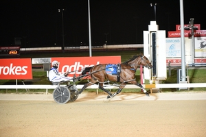 News Article - Australian Harness Racing