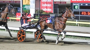 News Article - Australian Harness Racing